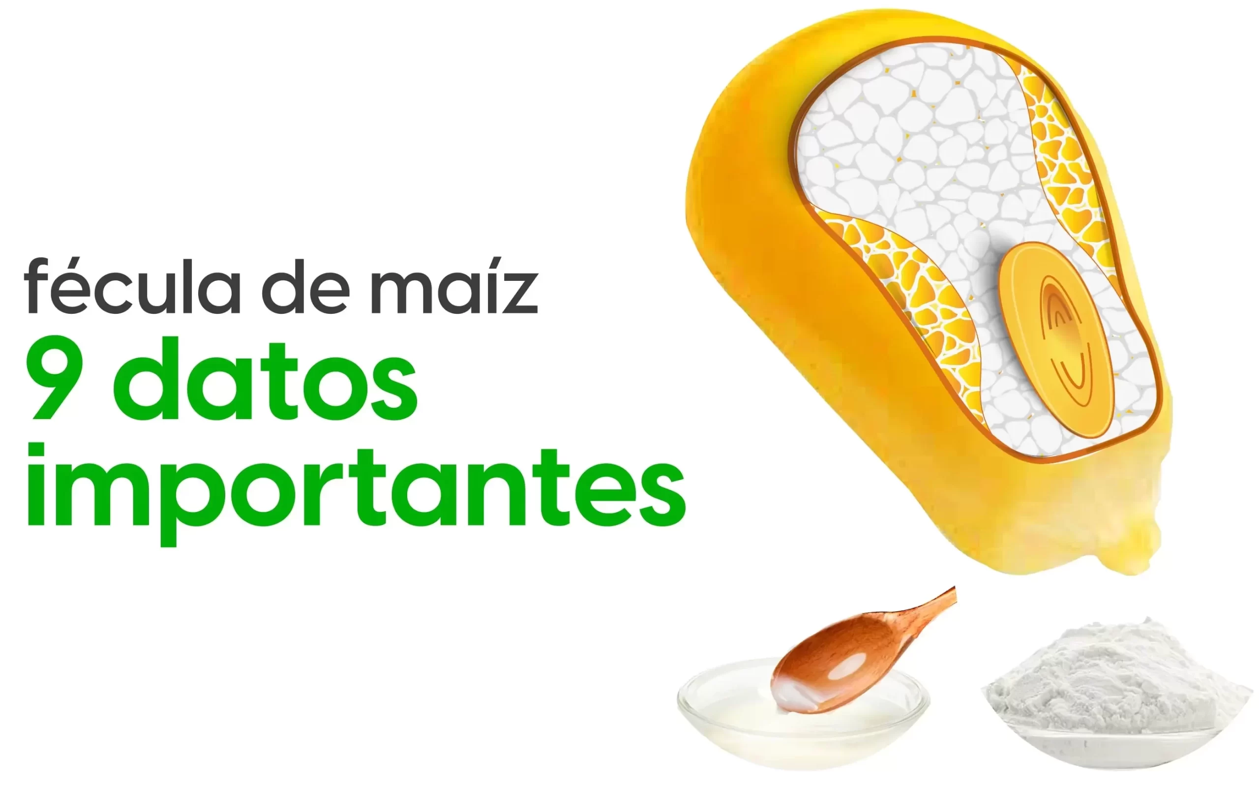¿Qué es la Fécula de Maíz? – Desechables Biodegradables -Renovapack